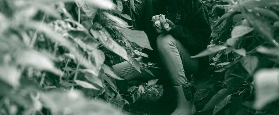 The Original Muck Boot Co.